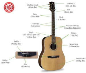 Tìm hiểu về cấu tạo của một cây đàn Guitar và chức năng của từng bộ ...