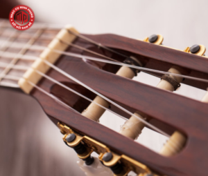 Tìm hiểu về cấu tạo của một cây đàn Guitar và chức năng của từng bộ ...